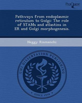 Pathways from Endoplasmic Reticulum to Golgi: The Role of Stams and ...