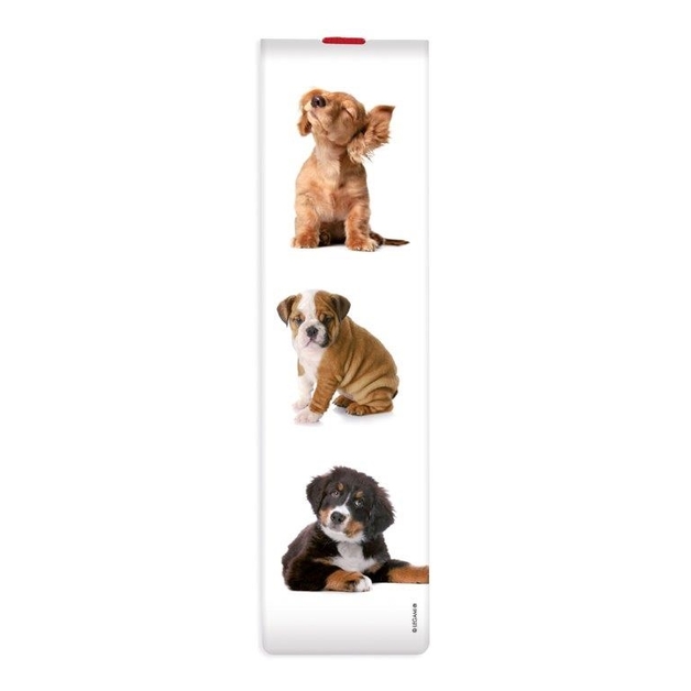 Buy Legami: Aphorism Bookmark With Elastic Band - Dogs at Mighty Ape NZ