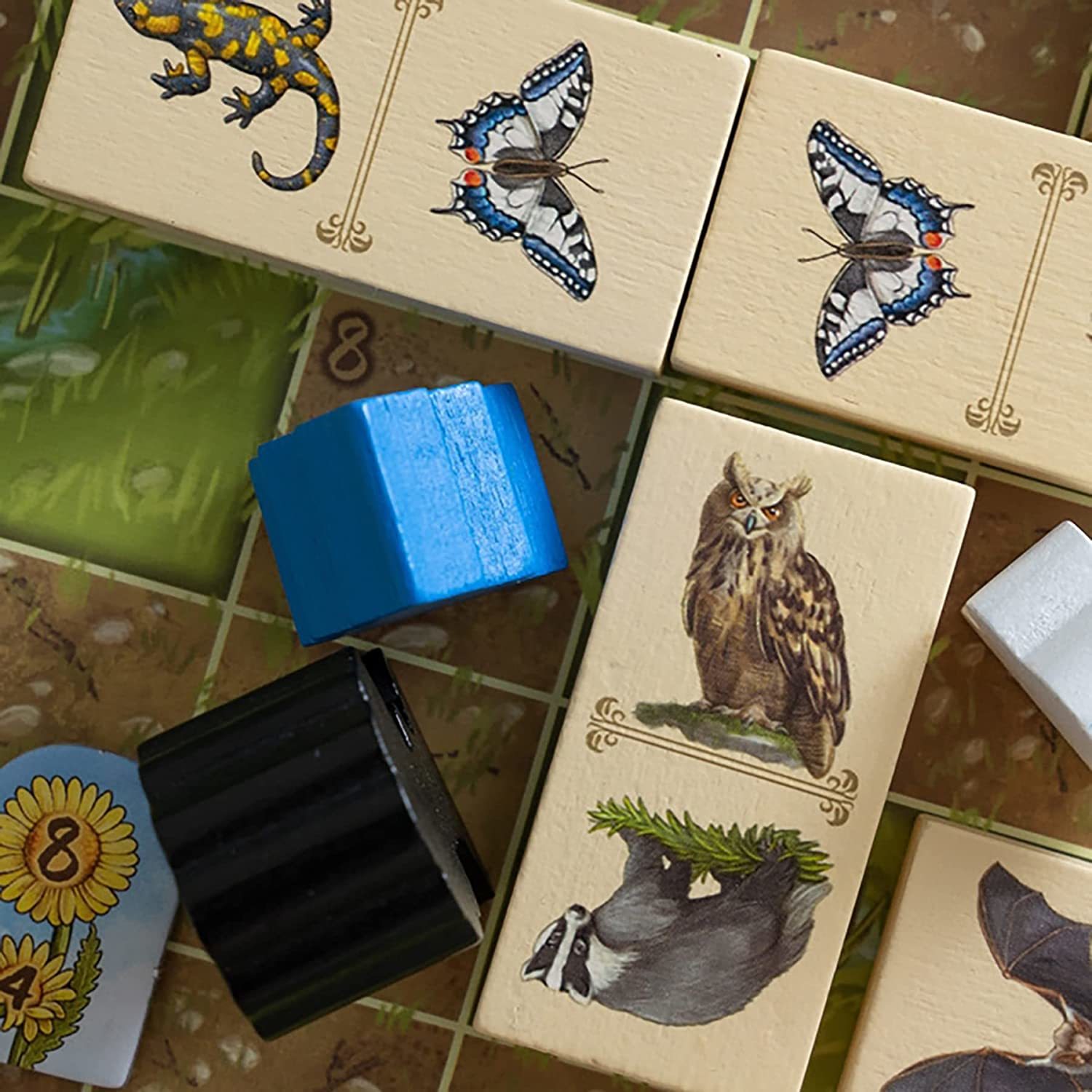 Renature | Board Game | at Mighty Ape NZ