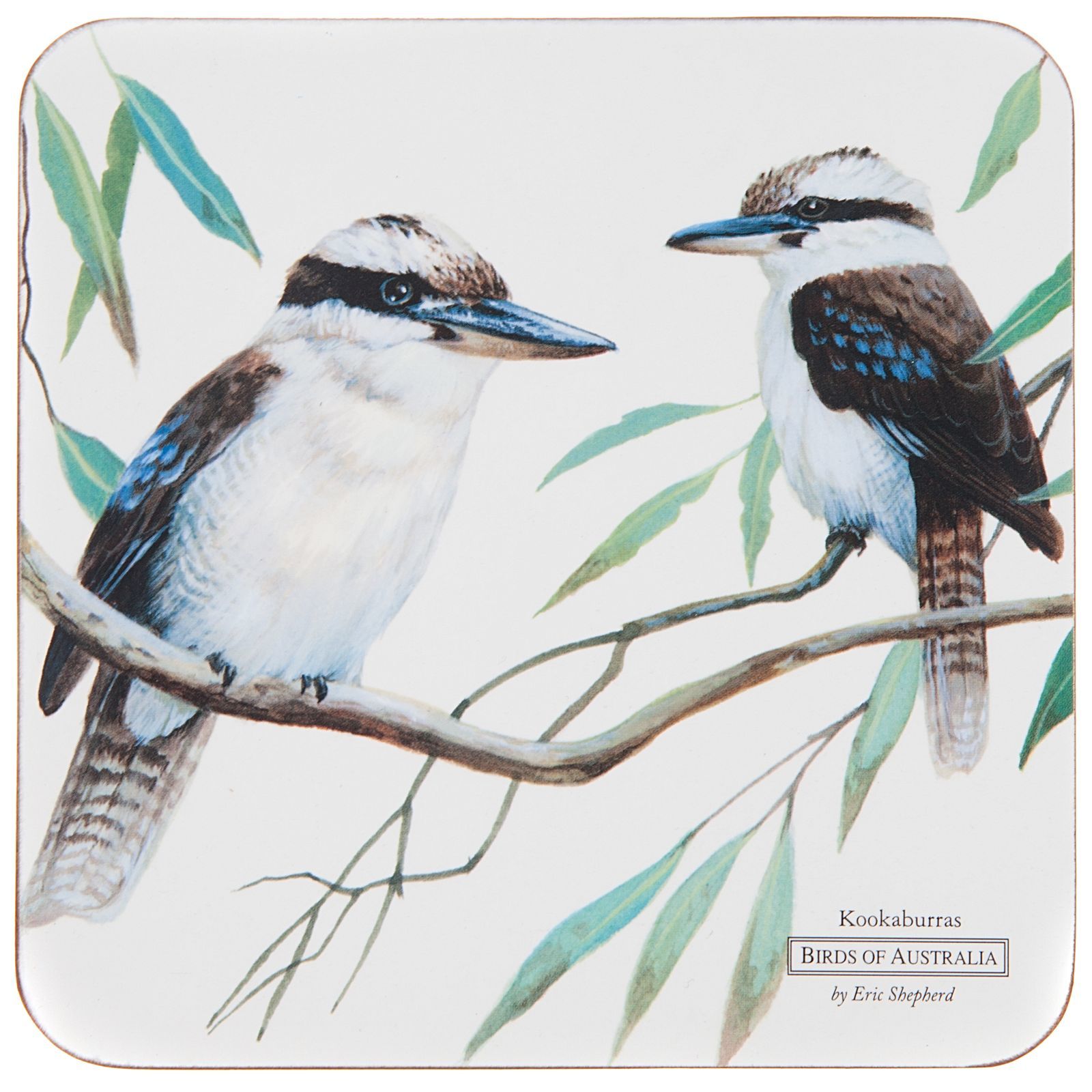 Maxwell & Williams - Eric Shepherd Birds of Australia Coasters (Set of ...