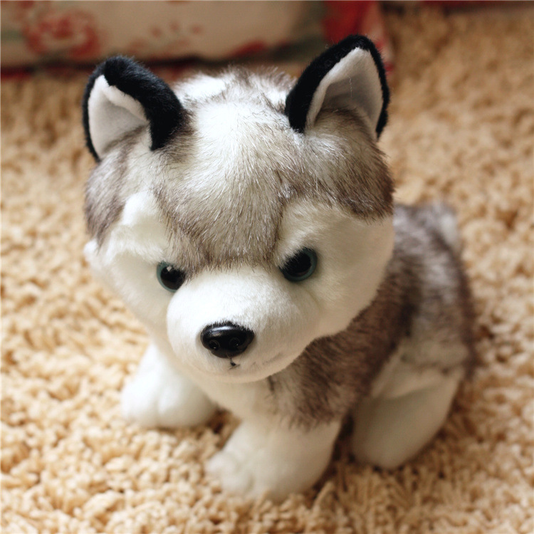 Buy Husky Plush at Mighty Ape NZ