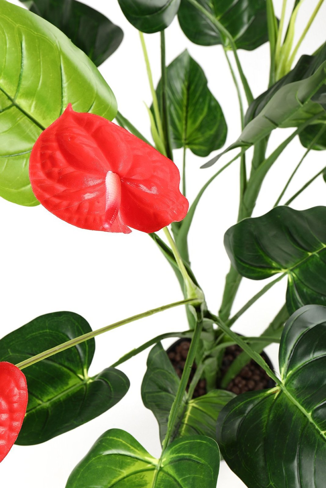Artificial Anthurium Plant with Pot | at Mighty Ape NZ