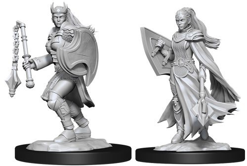 D&D Nolzur's Marvelous: Unpainted Miniatures - Kalashtar Cleric Female ...