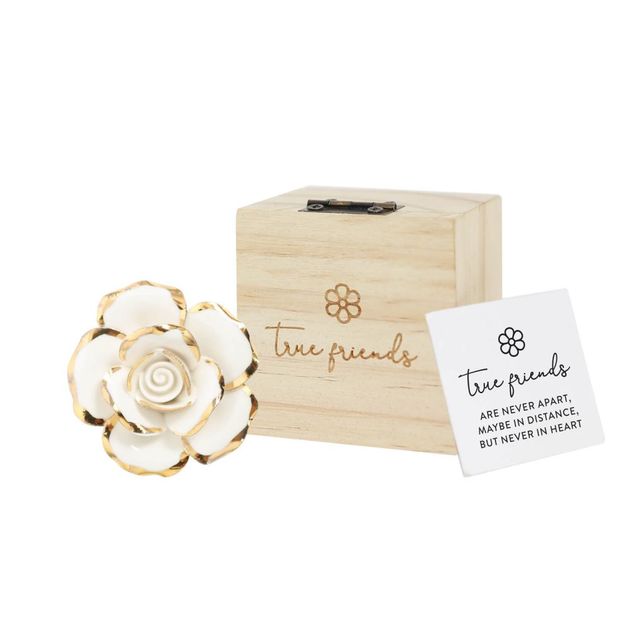 Splosh: Pocket Promise Box - Friends | at Mighty Ape NZ