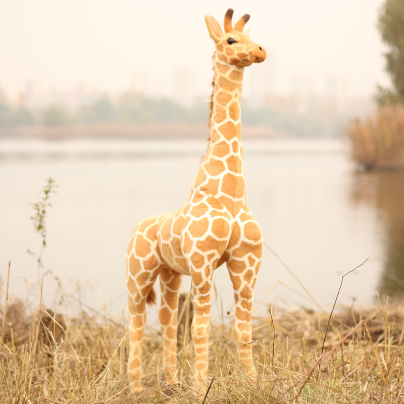 Buy Giraffe at Mighty Ape NZ