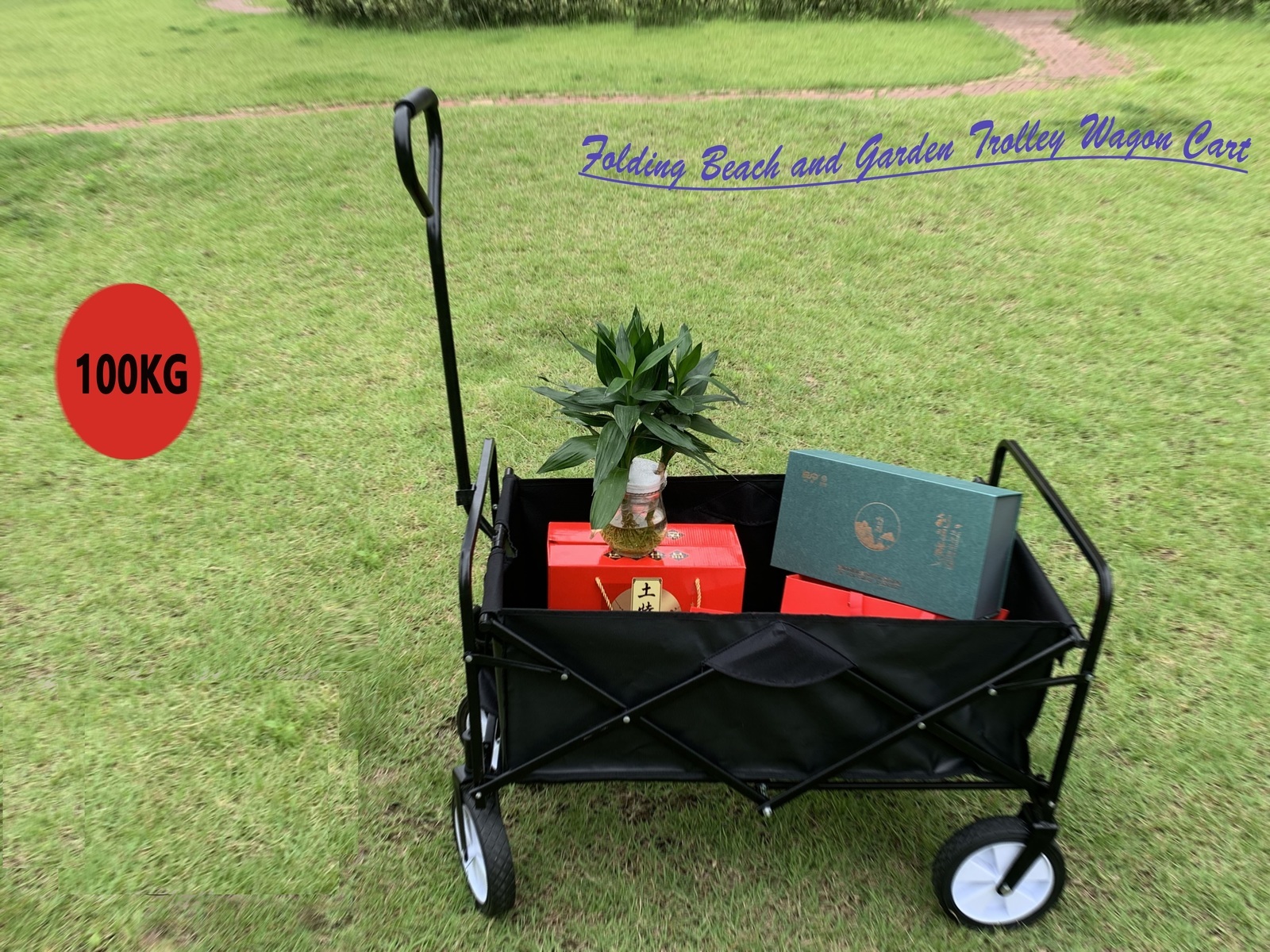 Xl Multipurpose Wagon at Laverne Haskins blog