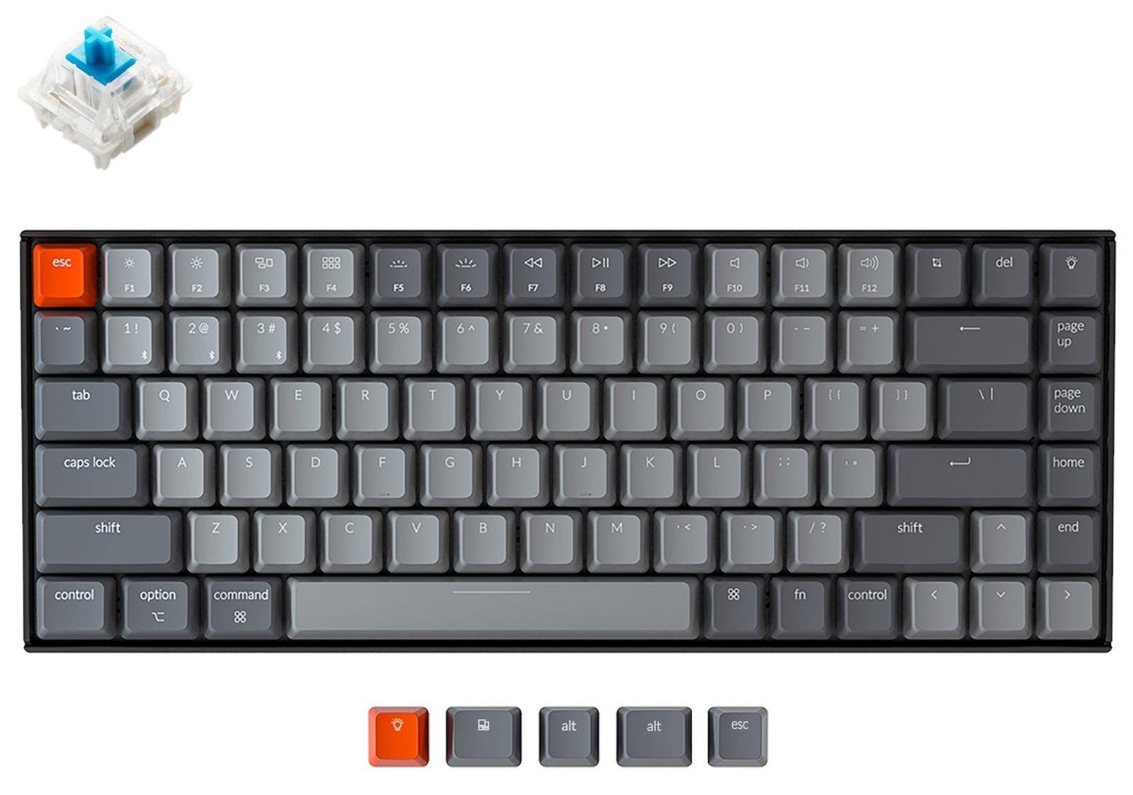 Keychron K2-A2 75% Layout 84 Key - Blue Switch White Led - Wireless ...