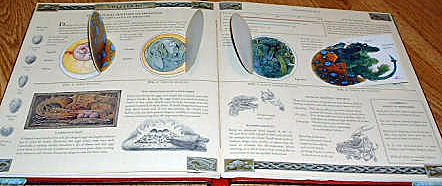 Dragonology: The Complete Book of Dragons (Ology series) | dugald steer ...