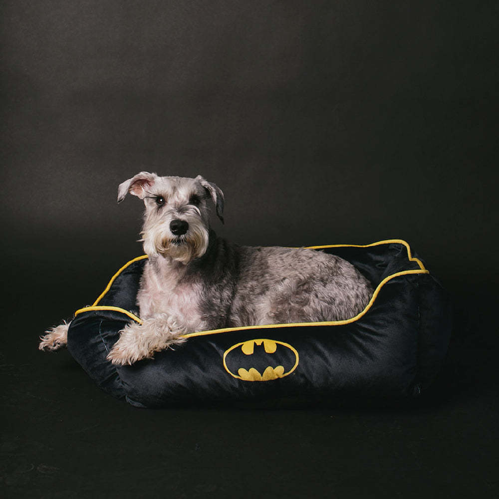 Buy DC Comics: Batman Pet Bed at Mighty Ape NZ