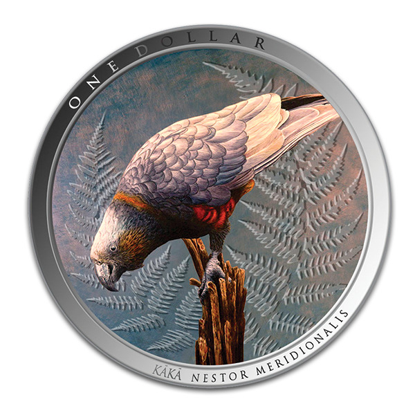 2020 Kaka - Silver Proof Coin | at Mighty Ape NZ