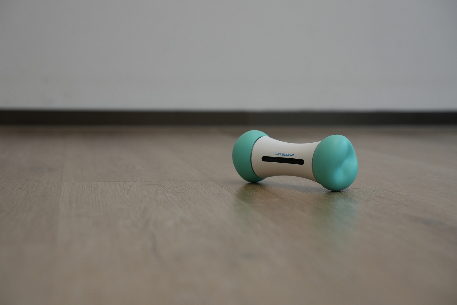 Cheerble Wicked Bone SE Dog Toy - Mint | at Mighty Ape NZ