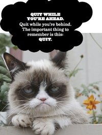 Grumpy Guide to Life | Grumpy Cat Book | In-Stock - Buy Now | at Mighty ...