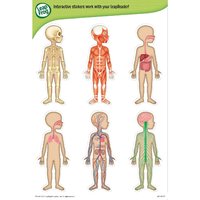 Buy LeapFrog: LeapReader Discovery Set - The Human Body at Mighty Ape ...