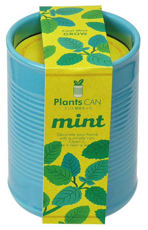 Blue Ceramic Can - Mint | at Mighty Ape NZ