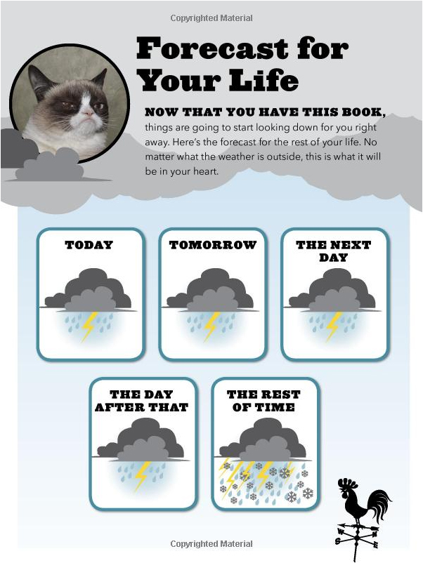 Grumpy Cat: A Grumpy Book | Grumpy Cat Book | In-Stock - Buy Now | at ...