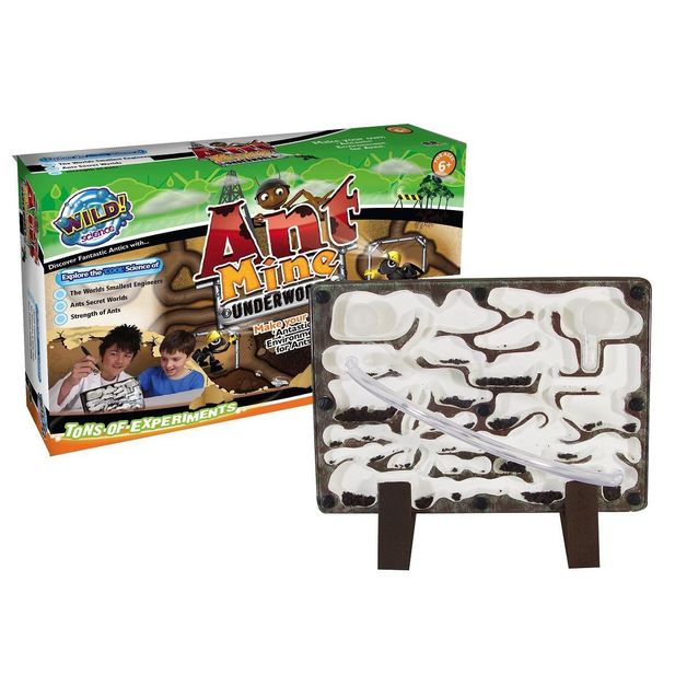 Buy Ant Mine - Science Kit at Mighty Ape NZ