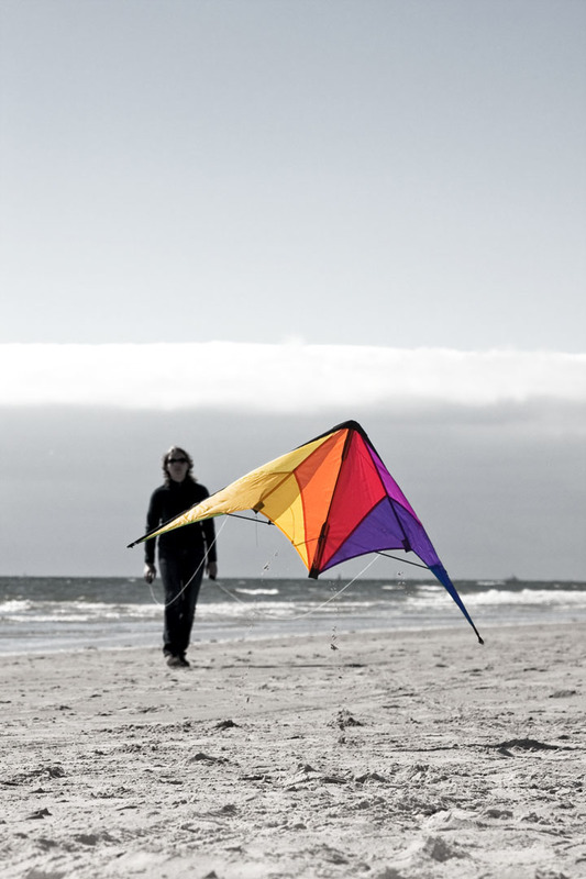 Buy Calypso II Radical R2F - Sport Kite at Mighty Ape NZ