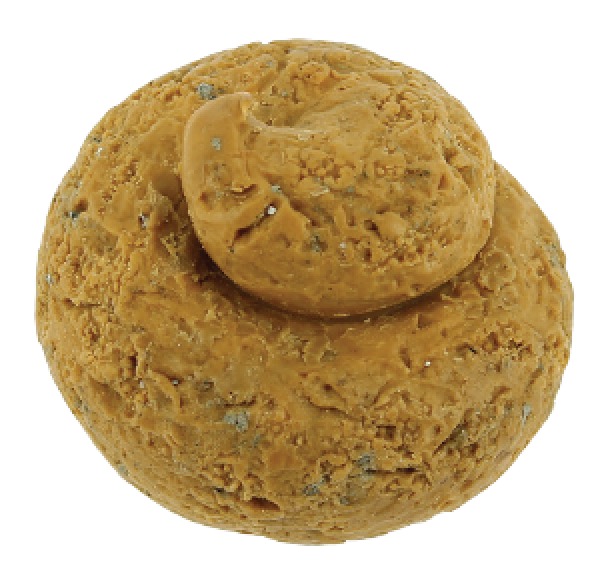 Buy Erasables: Poo Eraser Set at Mighty Ape NZ