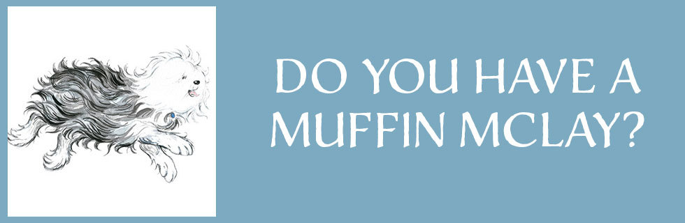 Hairy Maclary Lookalike Competition at Mighty Ape NZ