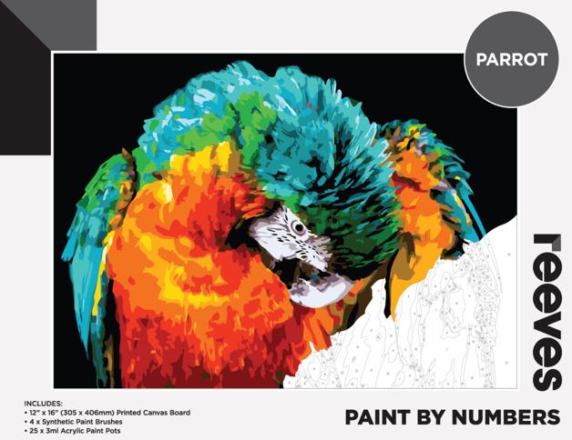 Buy Reeves: Paint By Numbers Acrylic 12x16inch Parrot at Mighty Ape NZ