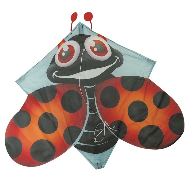 Buy Pop Up Kite - Ladybug at Mighty Ape NZ