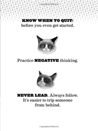 Grumpy Guide to Life | Grumpy Cat Book | In-Stock - Buy Now | at Mighty ...