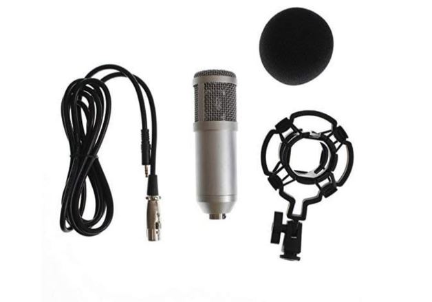 Pro Studio - Professional Broadcasting Microphone with Shockproof Mount ...