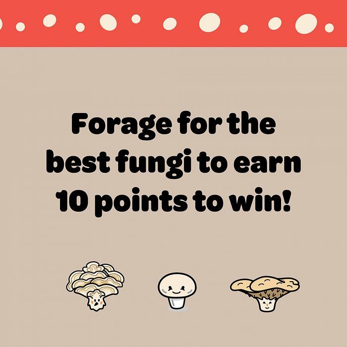 Funky Fungi | Board Game | at Mighty Ape NZ