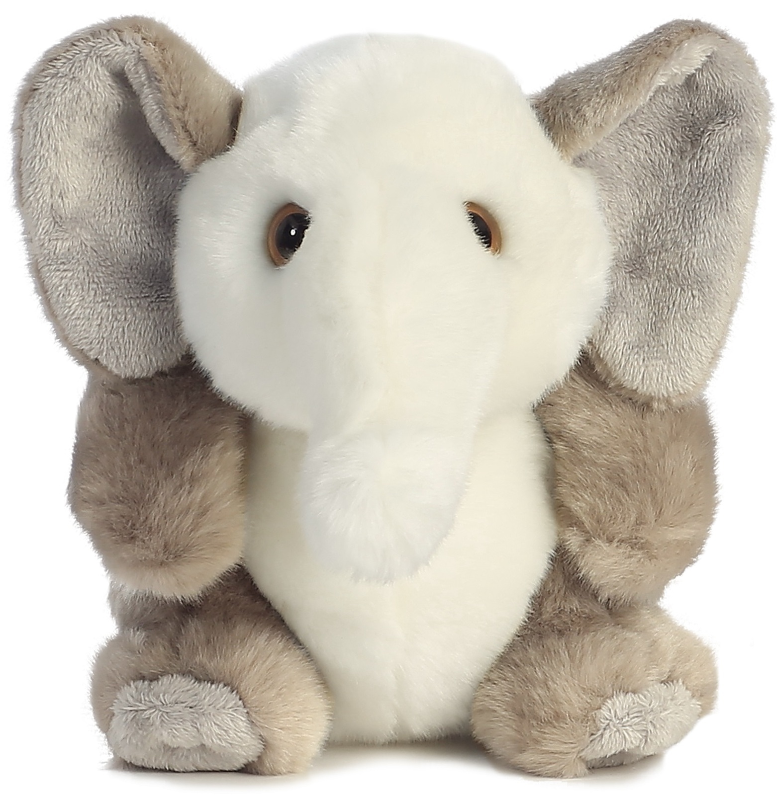 Buy Aurora: Lin Lin Phant at Mighty Ape NZ