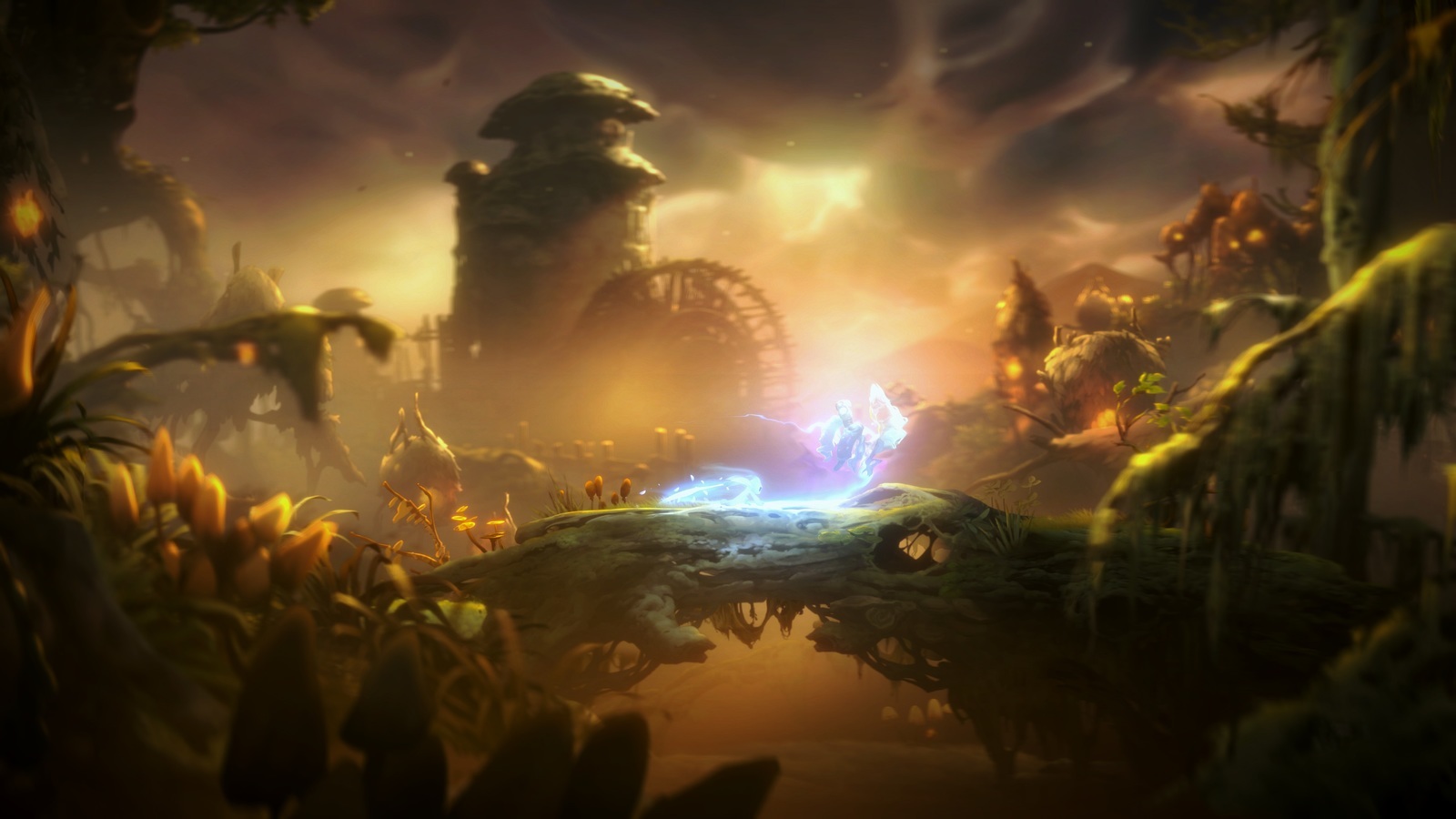 Ori and the Will of the Wisps Collector's Edition | Xbox One | Buy Now ...