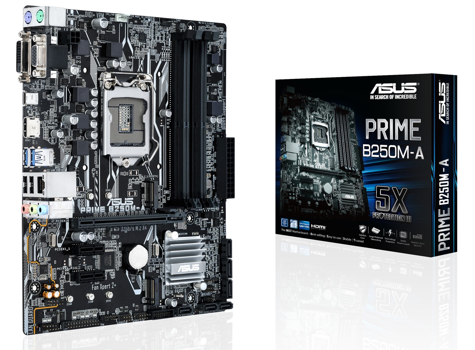 ASUS PRIME B250M-A Motherboard | at Mighty Ape NZ