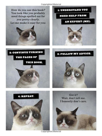 Grumpy Guide to Life | Grumpy Cat Book | In-Stock - Buy Now | at Mighty ...