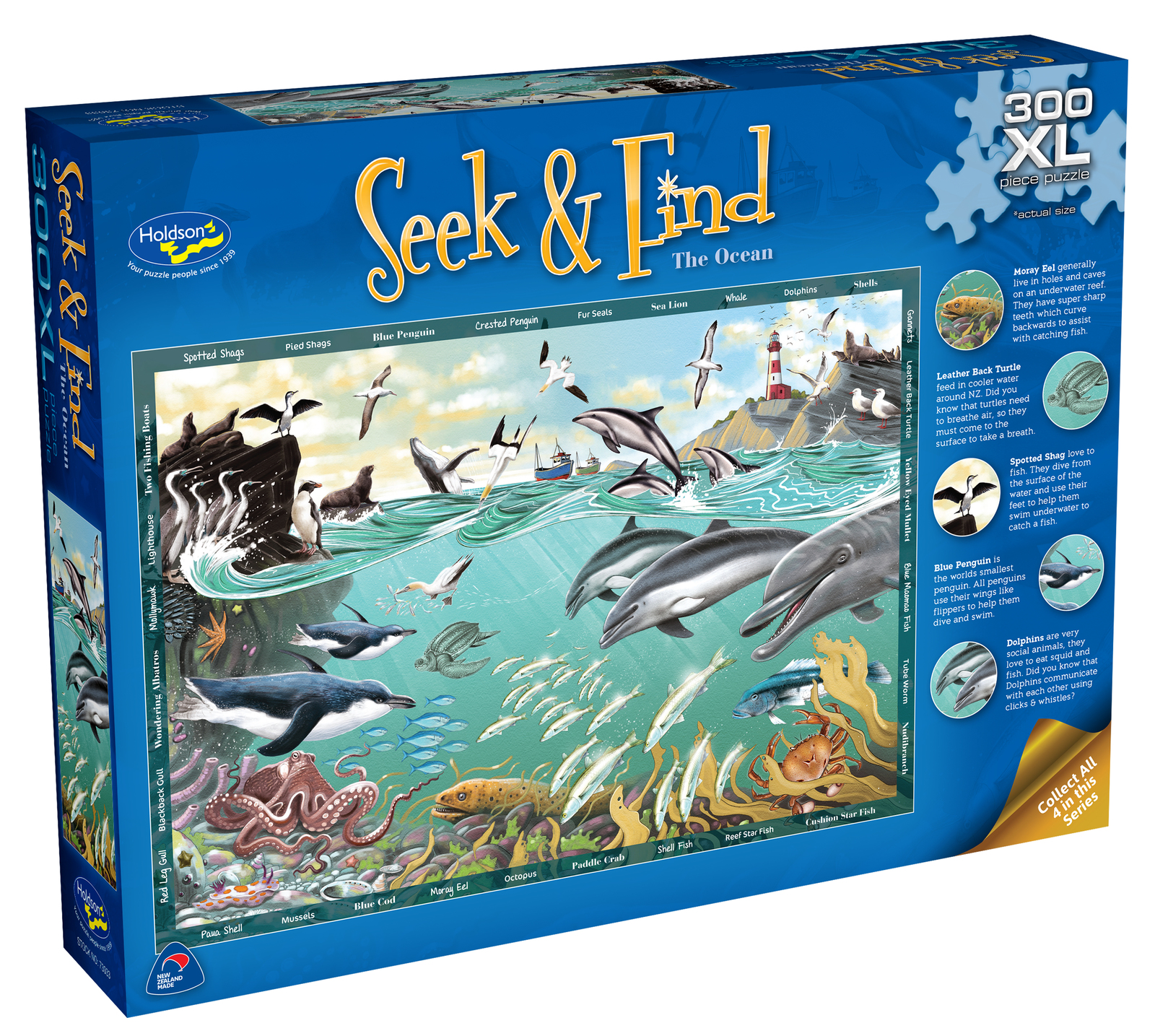 Seek & Find: The Ocean | Board Game | at Mighty Ape NZ