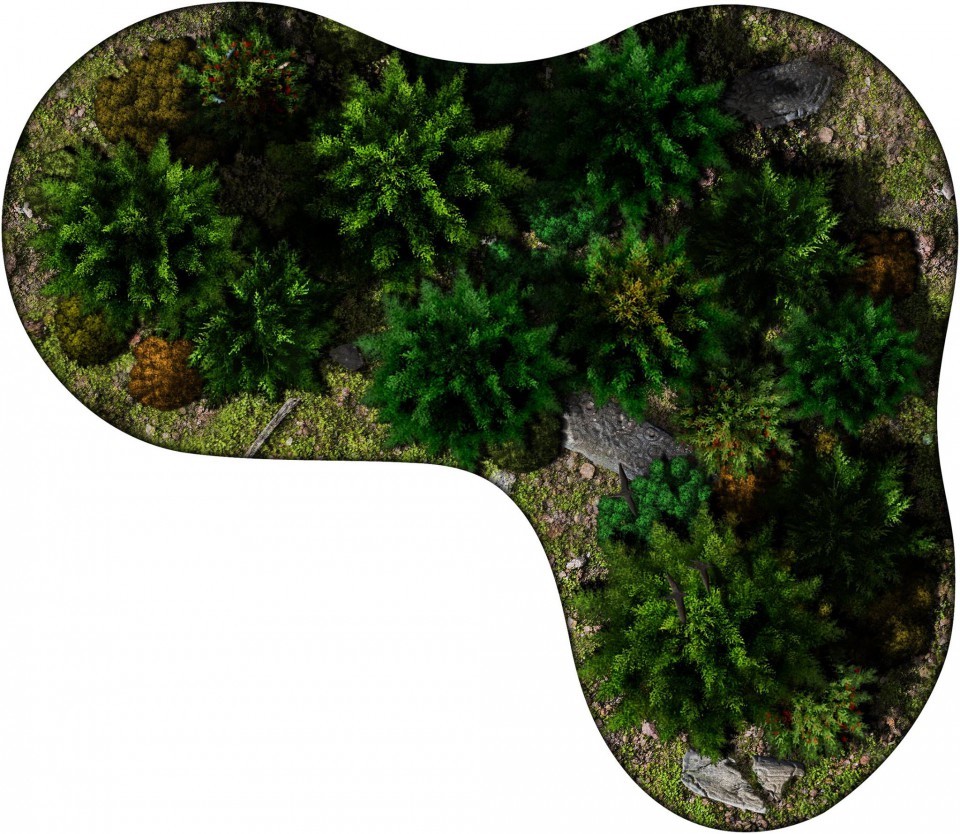 Lush Forests - 2D Terrain Tiles | at Mighty Ape NZ
