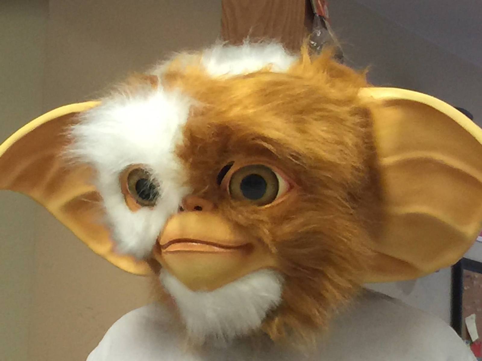 Gizmo Mask | Men's | at Mighty Ape Australia