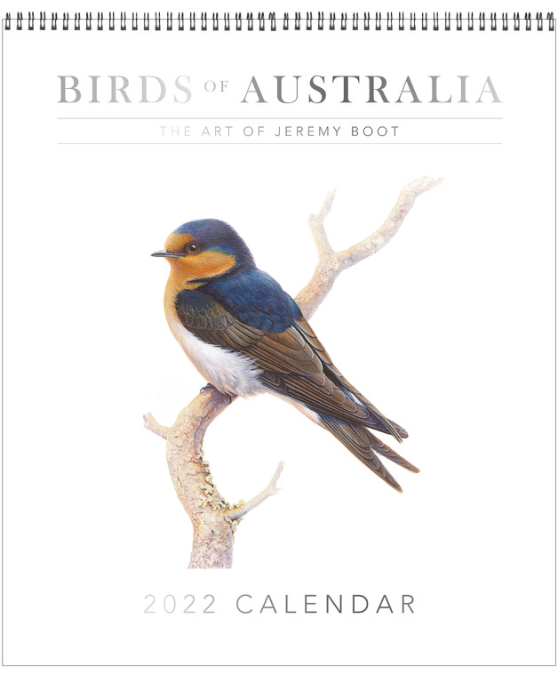 Buy Birds of Australia: The Art of Jeremy Boot - 2022 Deluxe Wall ...
