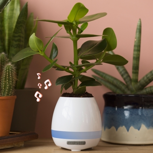 Thumbs Up: Plant Pot Speaker | at Mighty Ape NZ
