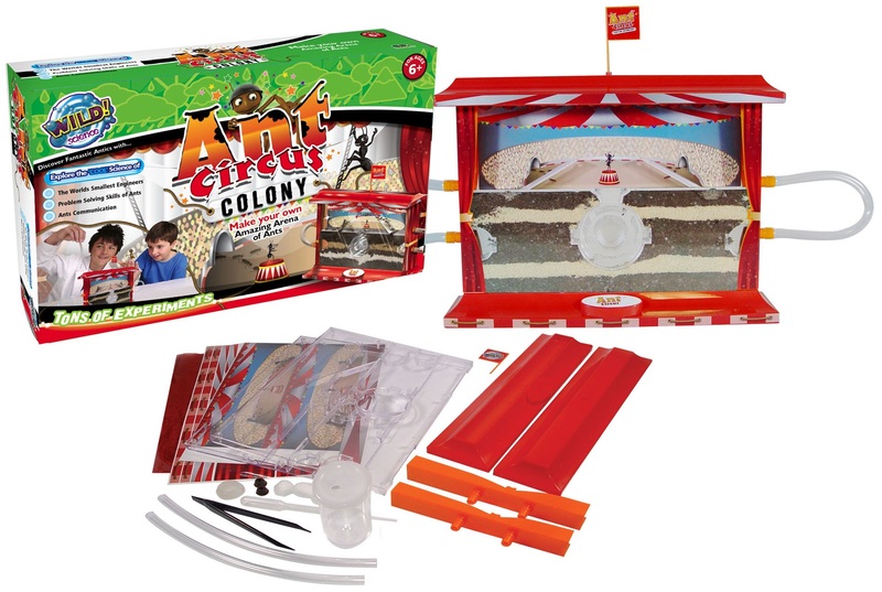 Buy Wild Science - Eco Ant Circus at Mighty Ape NZ