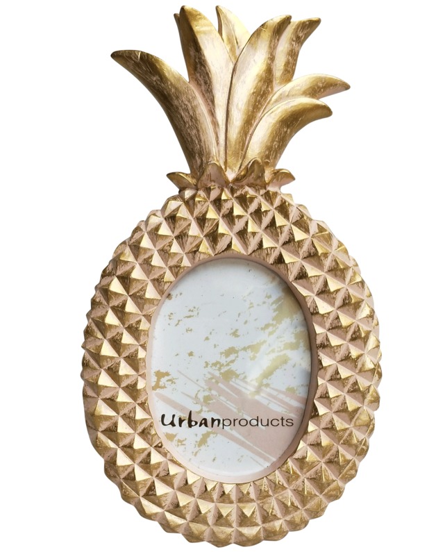 Pineapple Frame | at Mighty Ape NZ