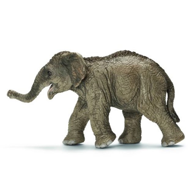 Buy Schleich: Asian Elephant Calf at Mighty Ape NZ