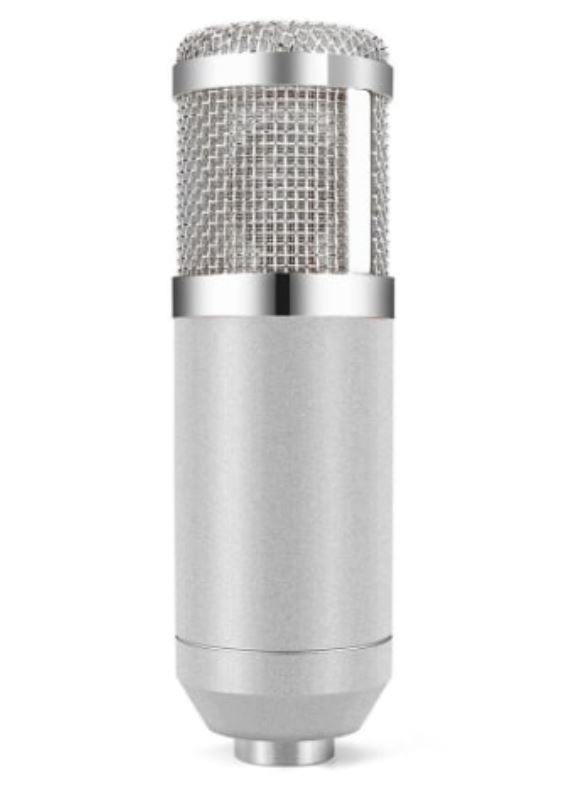 Pro Studio - Professional Broadcasting Microphone with Shockproof Mount ...
