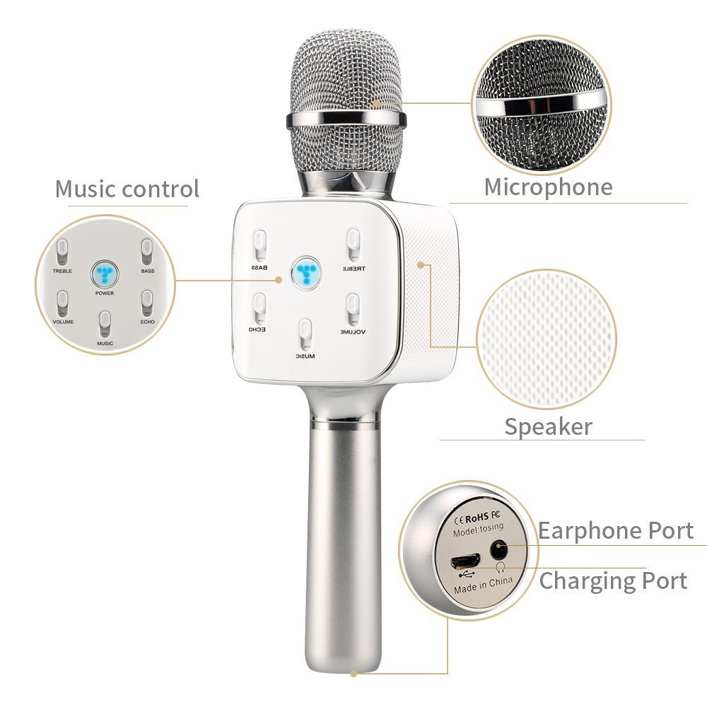 ToSing Q7S DUET Bluetooth Karaoke Speaker Microphone - Silver | at ...
