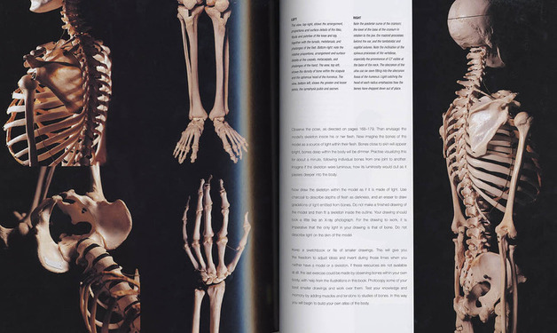 Anatomy for the Artist | Sarah Simblet Book | Buy Now | at Mighty Ape NZ