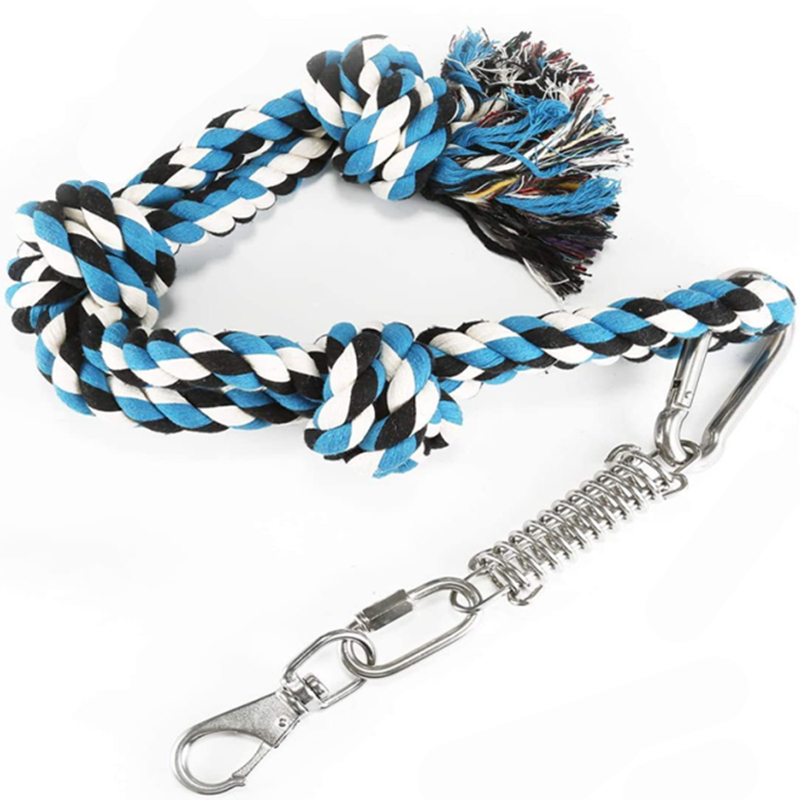 Buy Hanging Bungee Dog Toy at Mighty Ape NZ