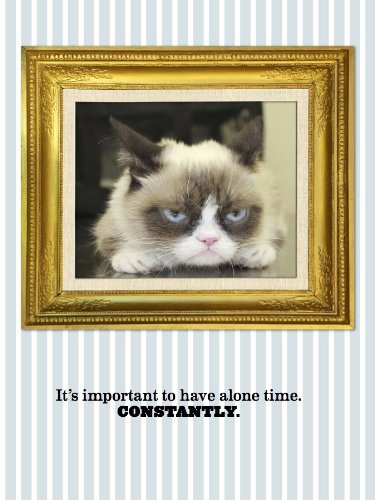 Grumpy Guide to Life | Grumpy Cat Book | In-Stock - Buy Now | at Mighty ...