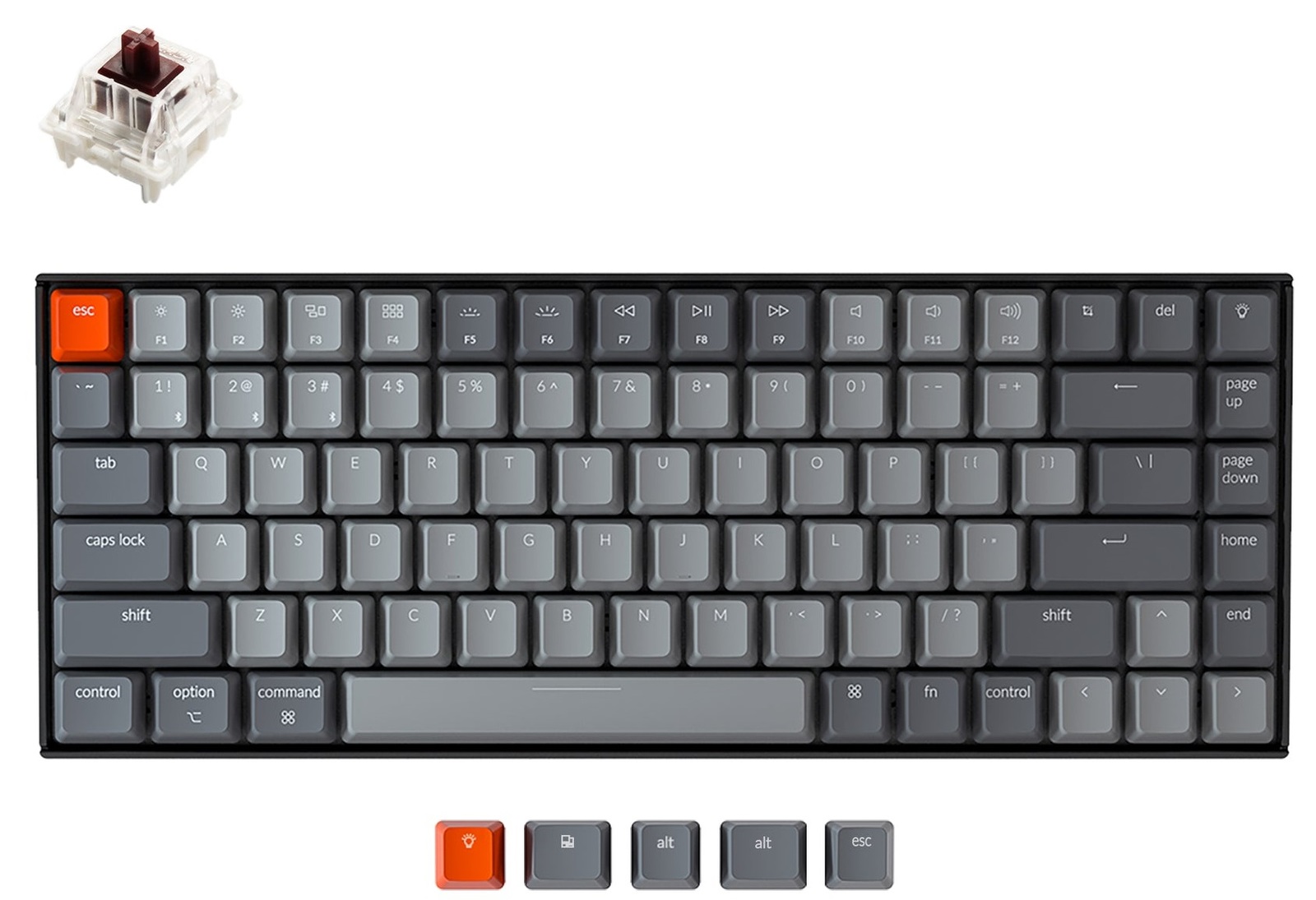 Keychron K2 v2 Bluetooth Mechanical Keyboard | at Mighty Ape NZ