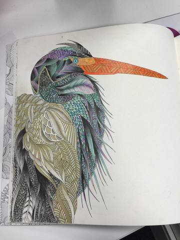 Mighty Ape Adult Colouring Competition Winner: Kimberley Rutgers at ...