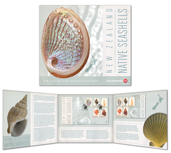 New Zealand Native Seashells - Presentation Pack | at Mighty Ape NZ