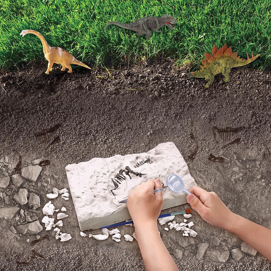 Buy Dinosaur Dig - Excavation Set at Mighty Ape NZ