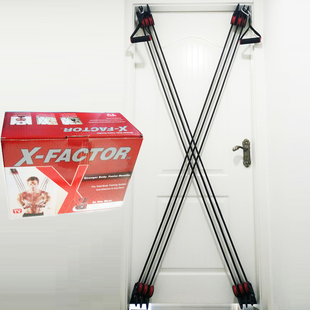Buy X-Factor Door Gym Fitness & Exercise Total Body System at Mighty ...